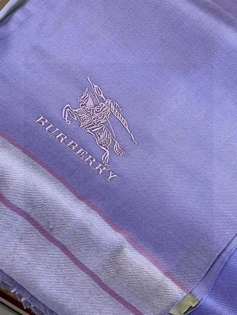 Cut-rate Burberry Scarf
