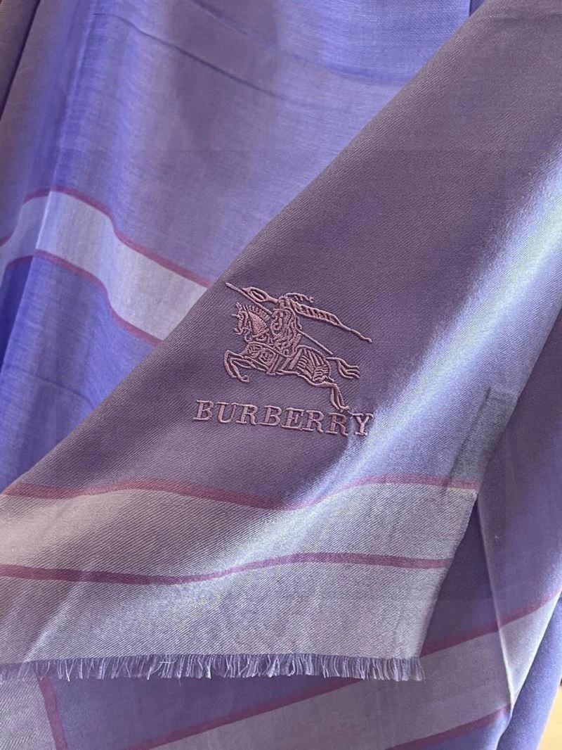 Cut-rate Burberry Scarf