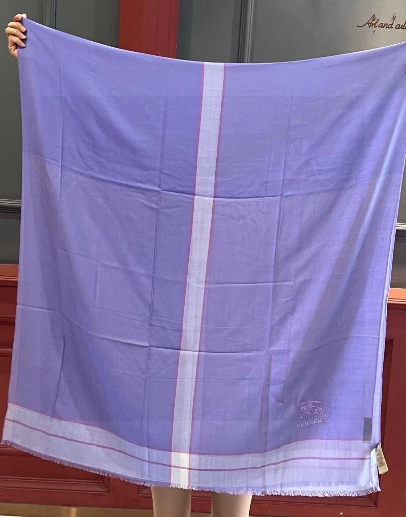 Cut-rate Burberry Scarf