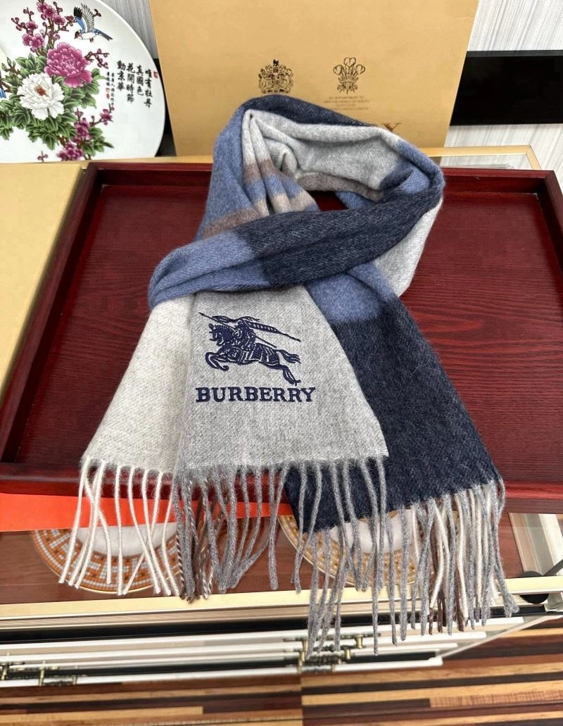 Reasonably priced Burberry Scarf