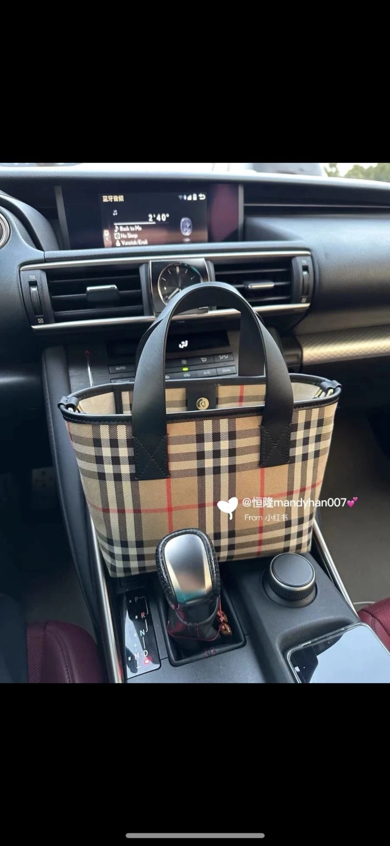 Low-cost Burberry Shopping Bags