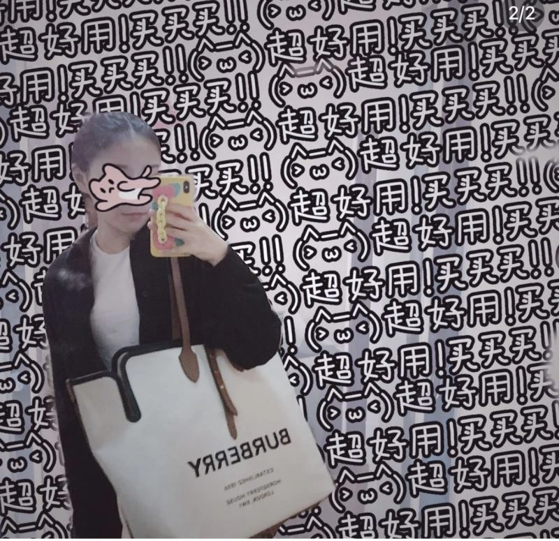 Real Burberry Shopping Bags
