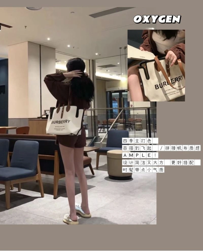 Authentic Burberry Shopping Bags