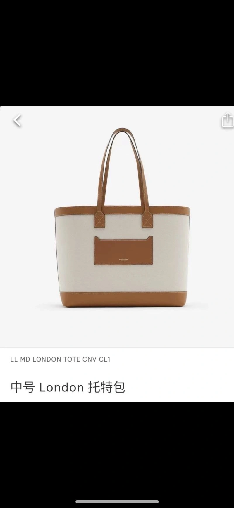 Accurate model Burberry Shopping Bags