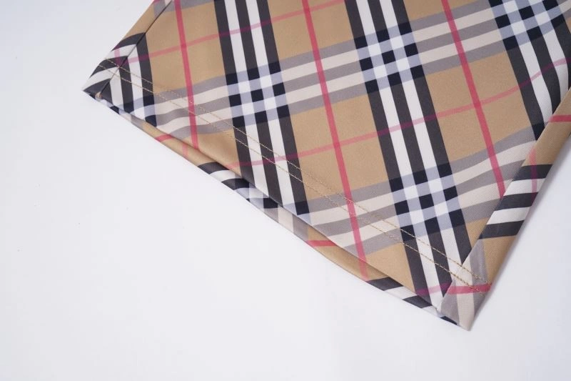 Economical Burberry Short Pants