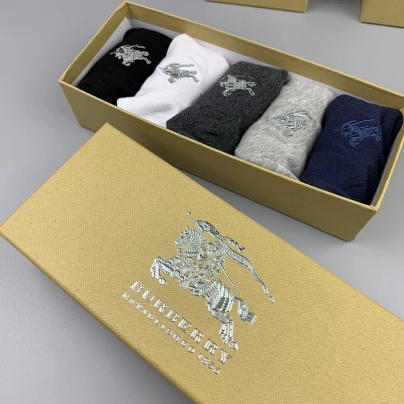 Indistinguishable Burberry Socks