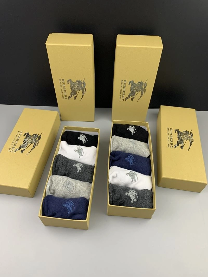 Indistinguishable Burberry Socks