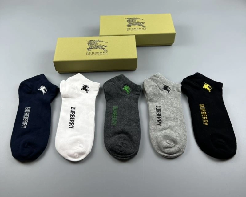 Accurate model Burberry Socks