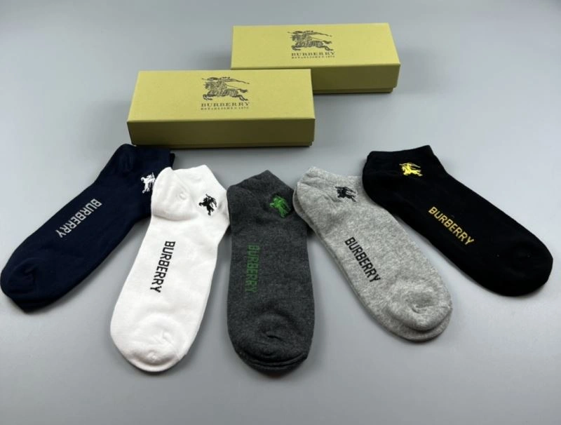 Accurate model Burberry Socks