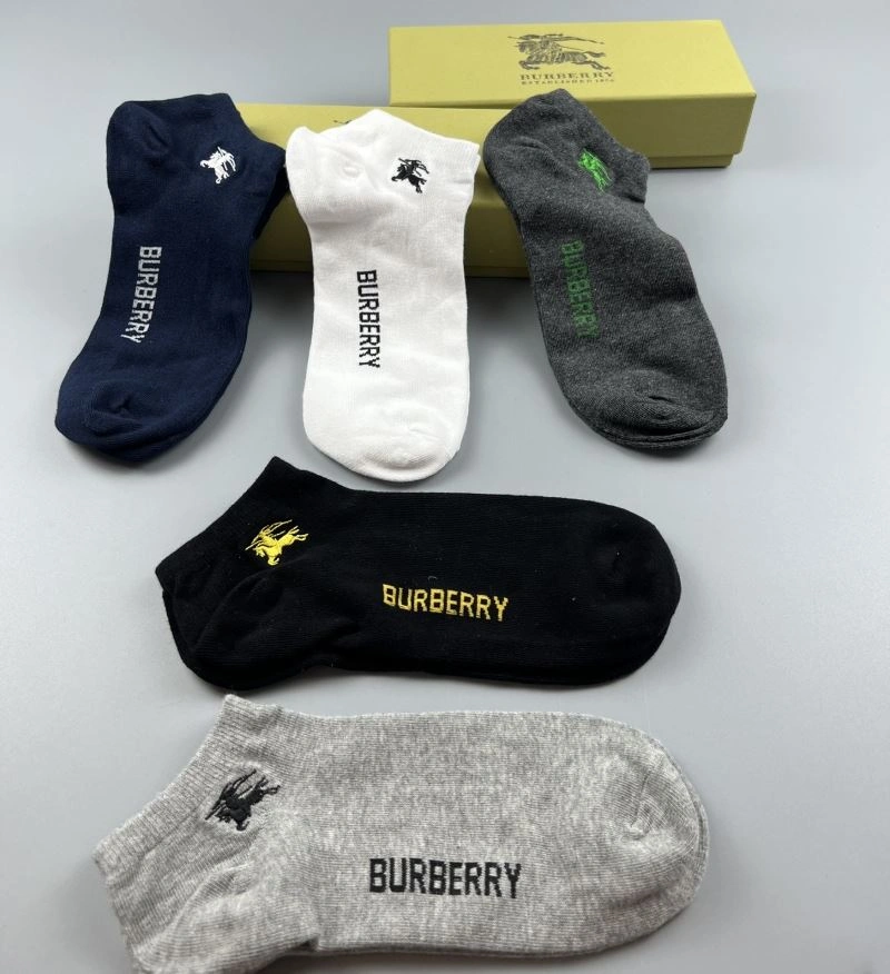 Accurate model Burberry Socks