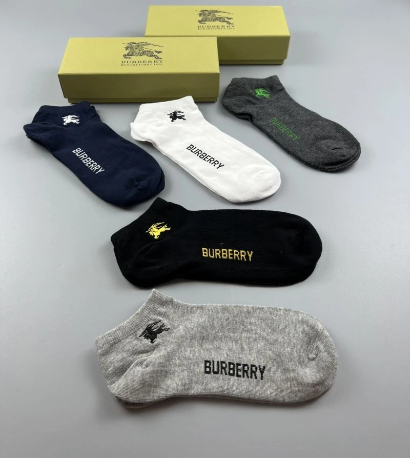 Accurate model Burberry Socks