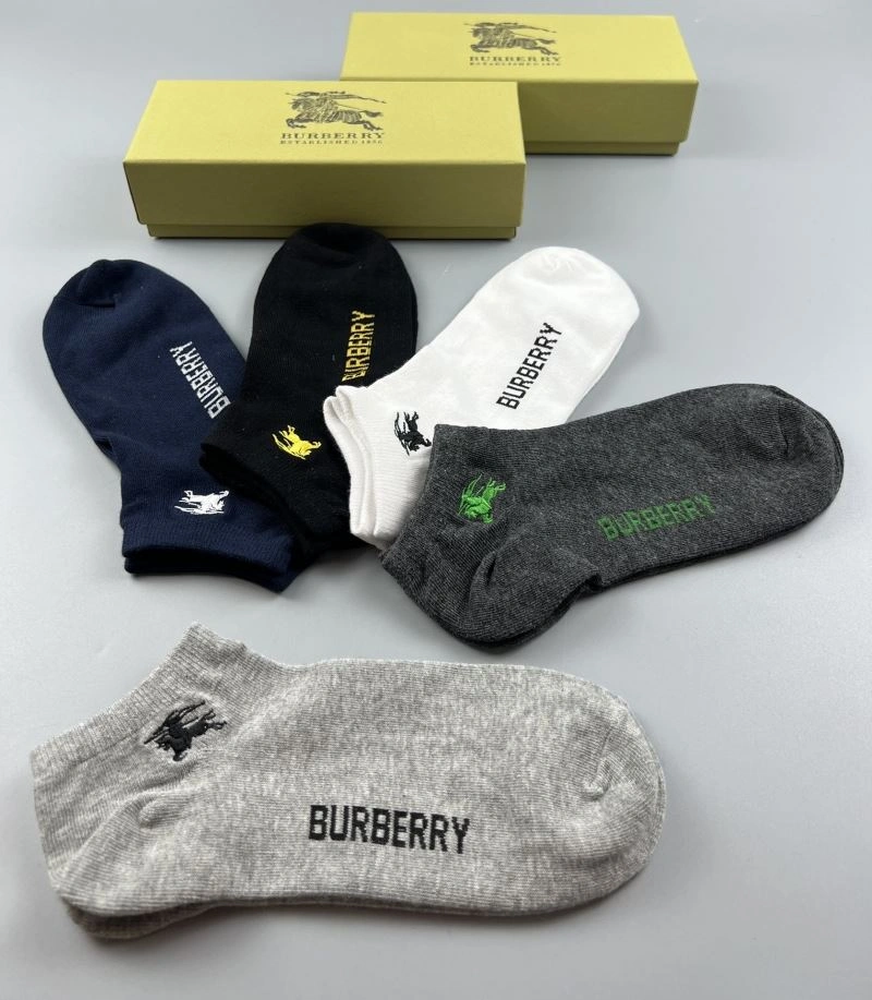 Accurate model Burberry Socks