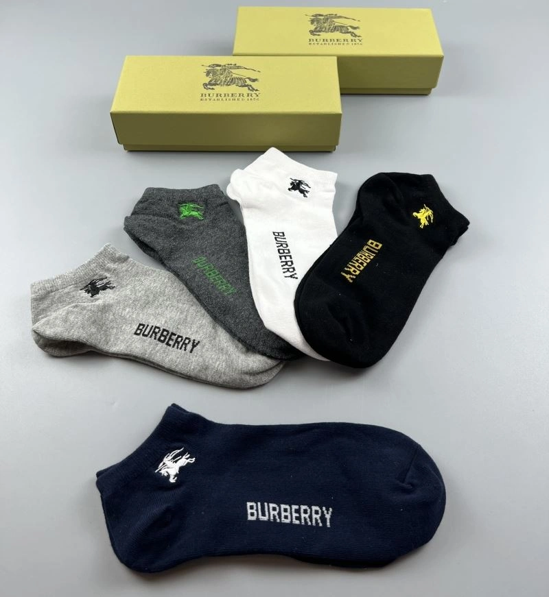 Accurate model Burberry Socks