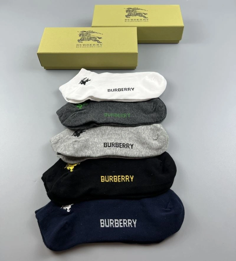 Accurate model Burberry Socks