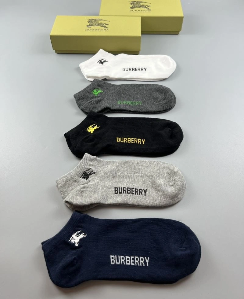 Accurate model Burberry Socks