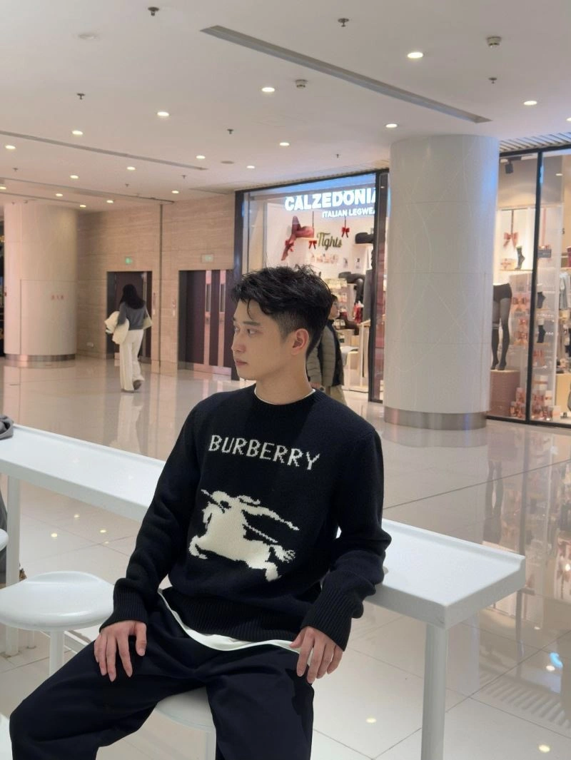 Reasonably priced Burberry Sweaters
