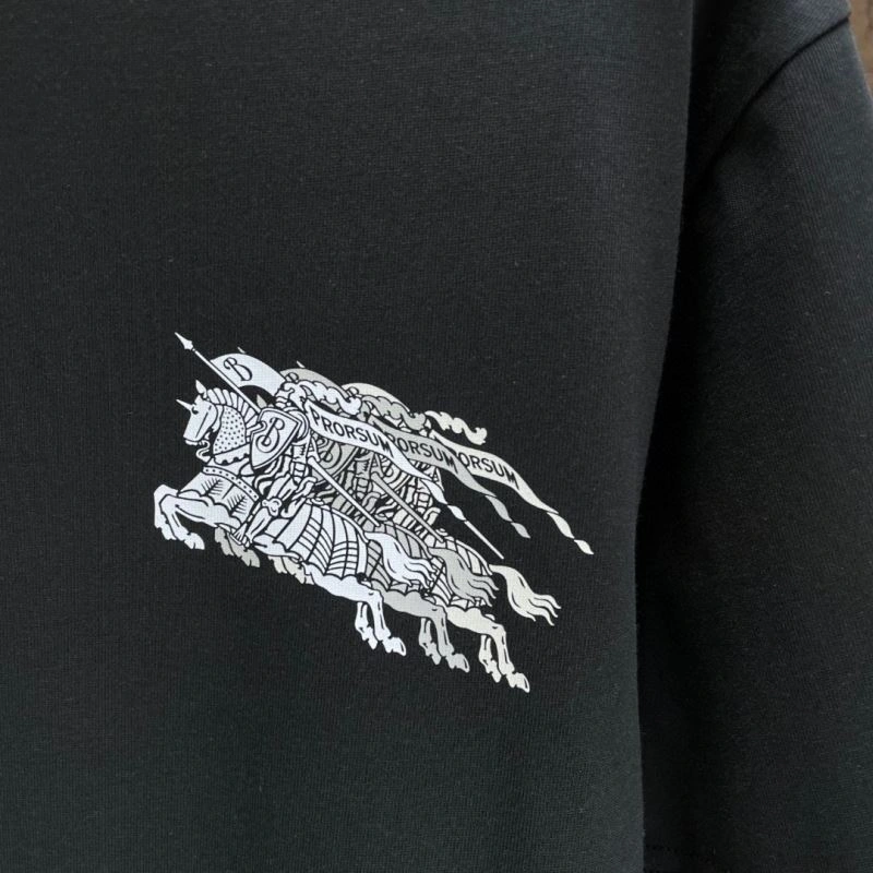 High accuracy Burberry T-Shirts
