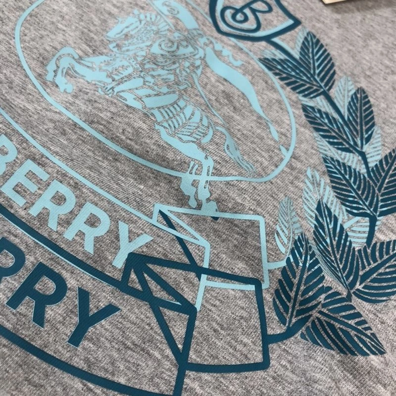 Reasonably priced Burberry T-Shirts