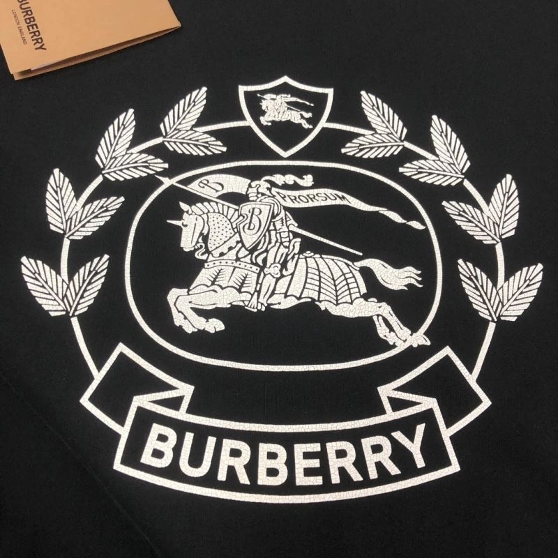 Accurate model Burberry T-Shirts