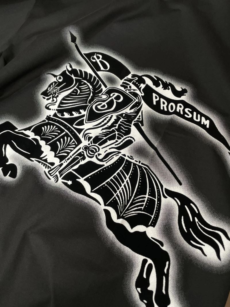 Accurate model Burberry T-Shirts