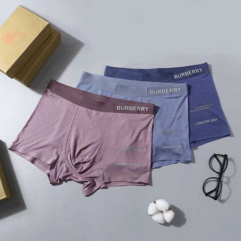 Economical Burberry Underwear