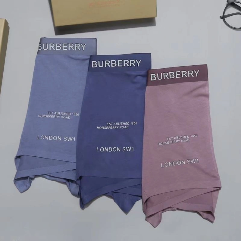 Economical Burberry Underwear