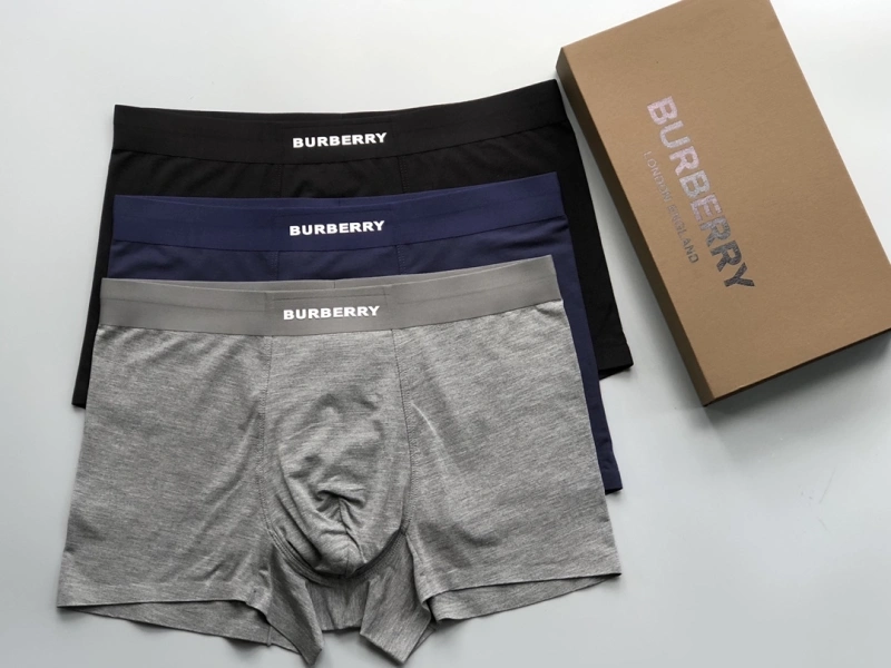 Legit Burberry Underwear