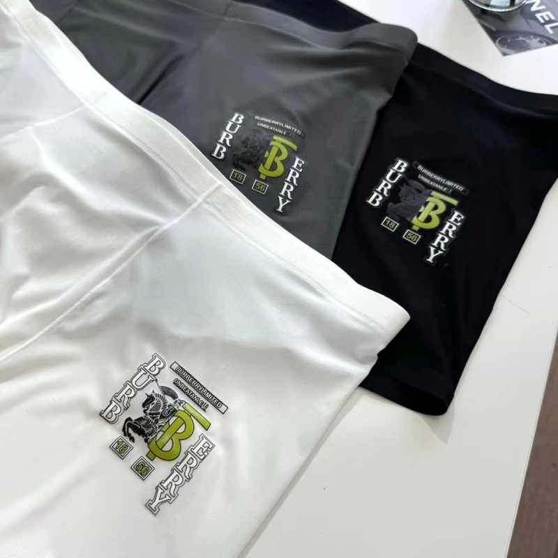 High accuracy Burberry Underwear