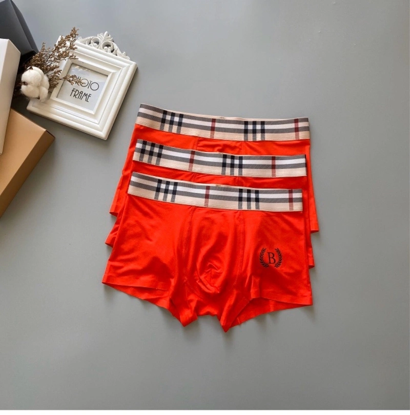 Indistinguishable Burberry Underwear