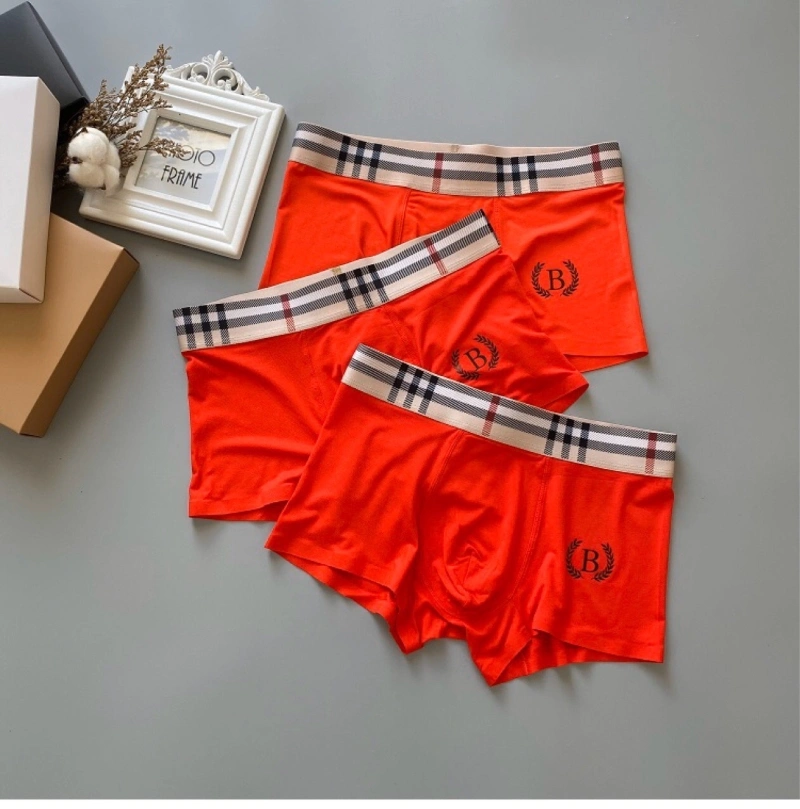 Indistinguishable Burberry Underwear