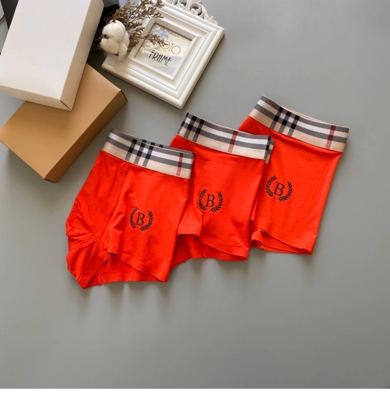 Indistinguishable Burberry Underwear