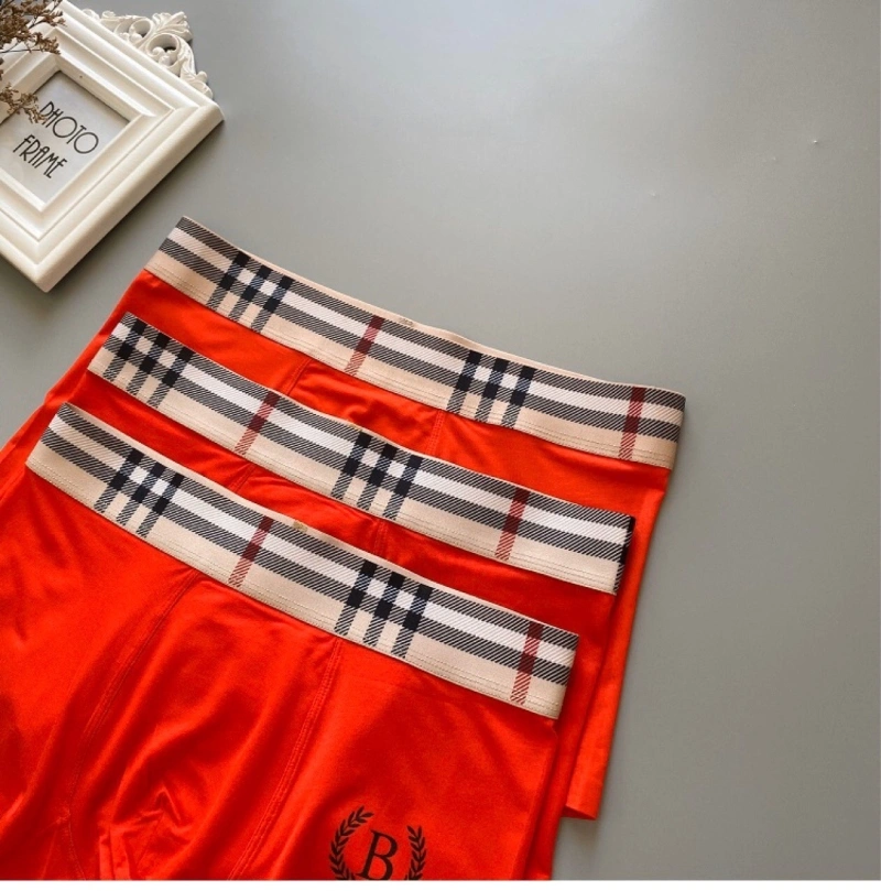 Indistinguishable Burberry Underwear