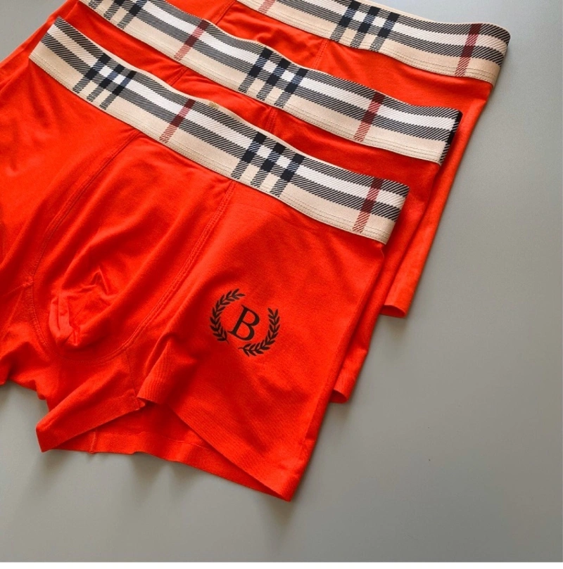 Indistinguishable Burberry Underwear