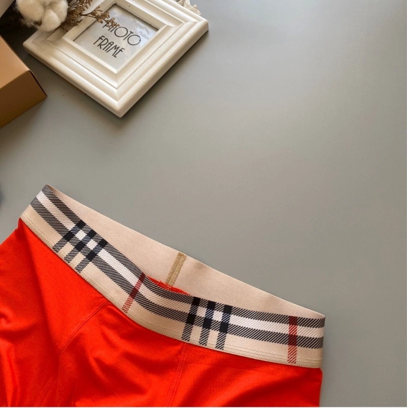 Indistinguishable Burberry Underwear