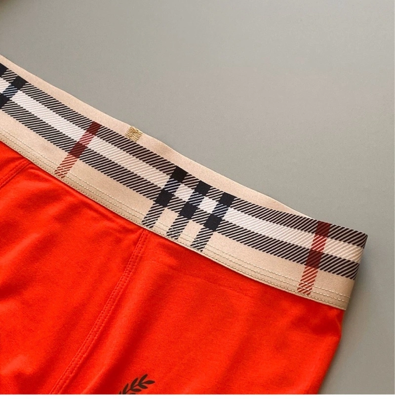 Indistinguishable Burberry Underwear