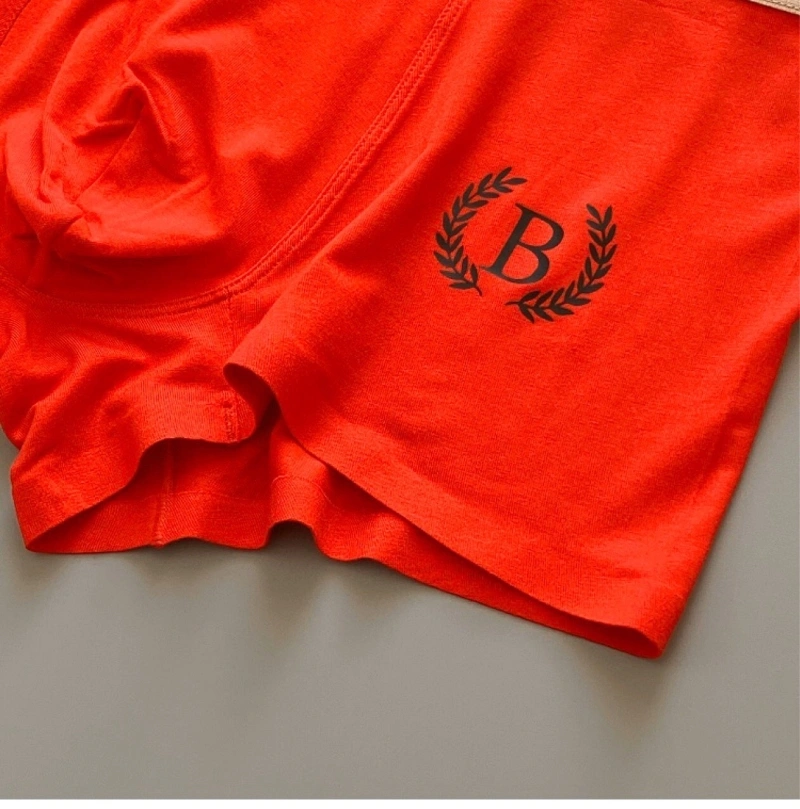 Indistinguishable Burberry Underwear