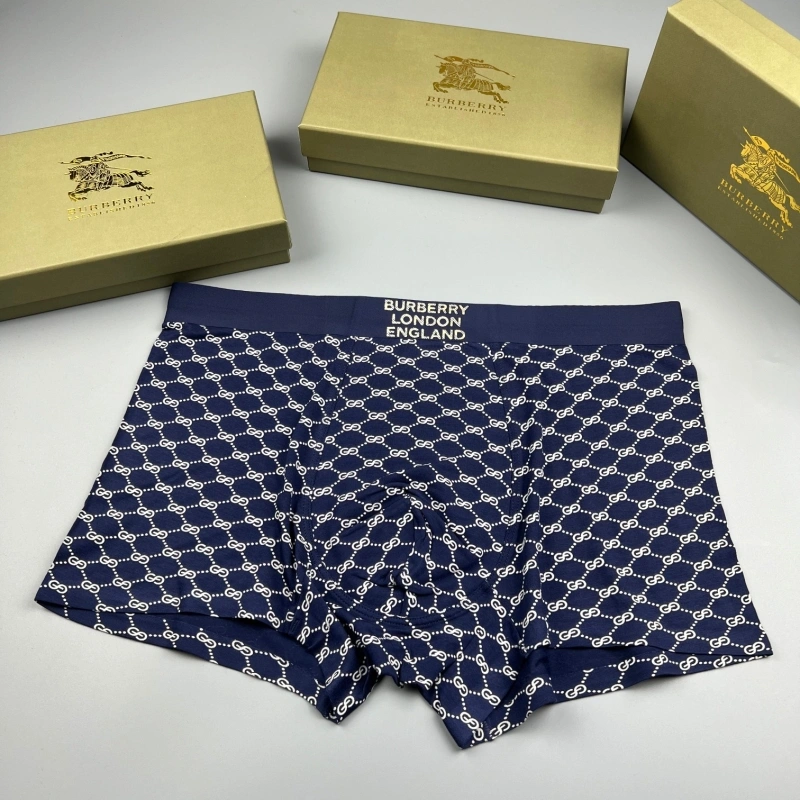 Reasonably priced Burberry Underwear
