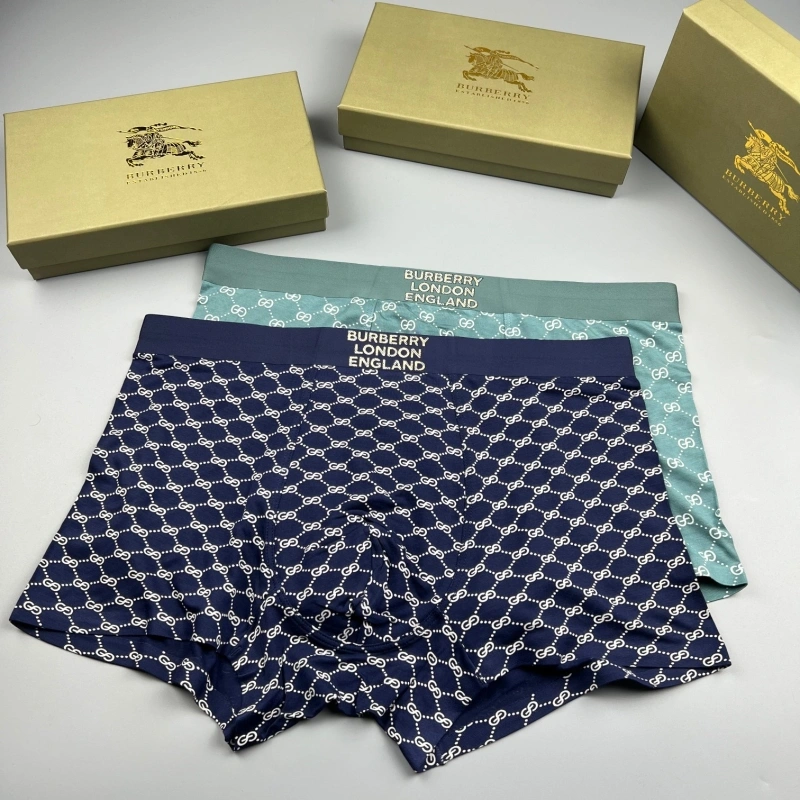 Reasonably priced Burberry Underwear