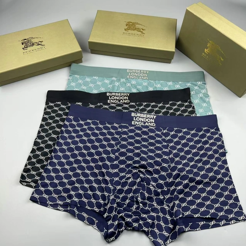 Reasonably priced Burberry Underwear