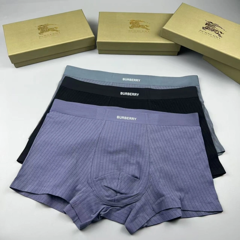 Exact replica Burberry Underwear