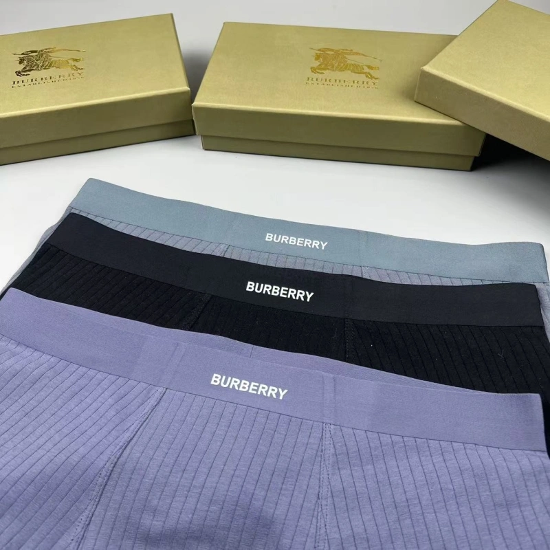 Exact replica Burberry Underwear