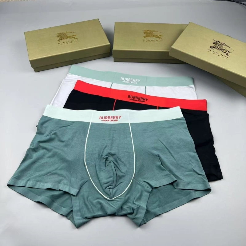 Authentic Burberry Underwear