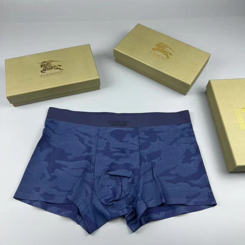 Accurate model Burberry Underwear