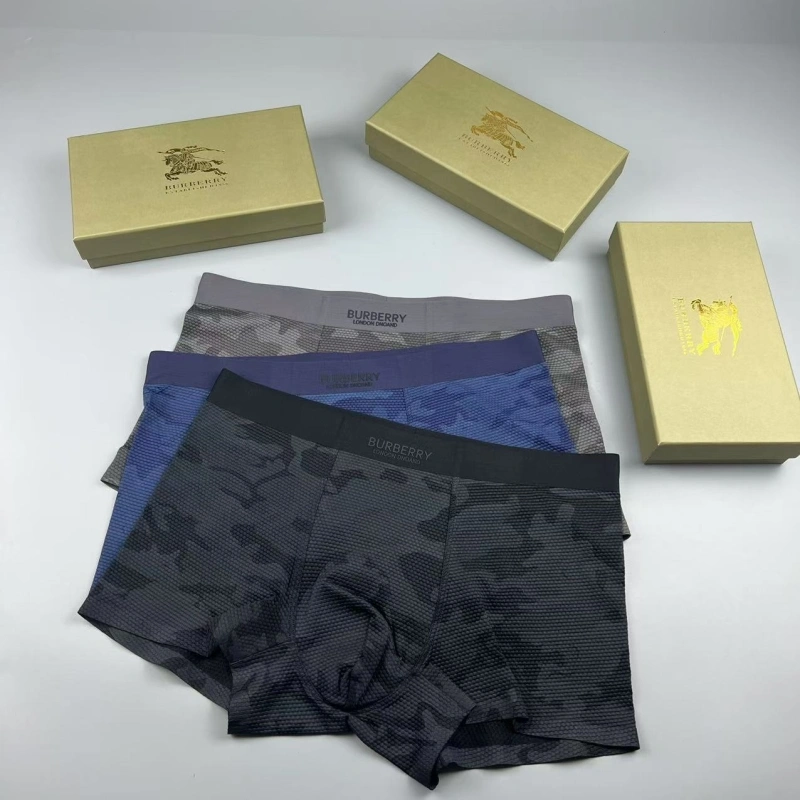 Accurate model Burberry Underwear