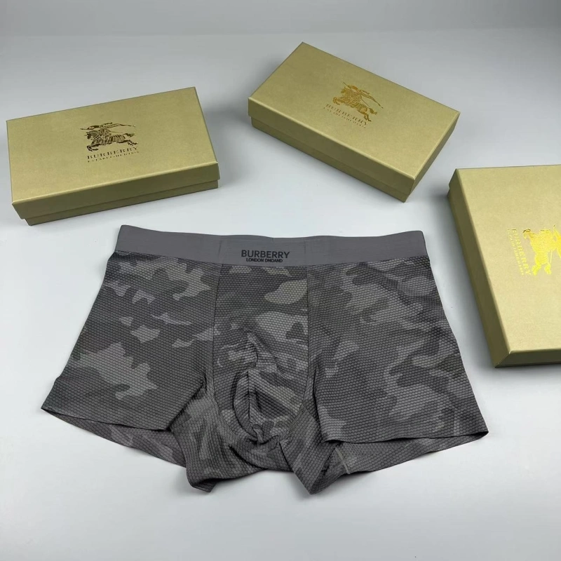 Accurate model Burberry Underwear