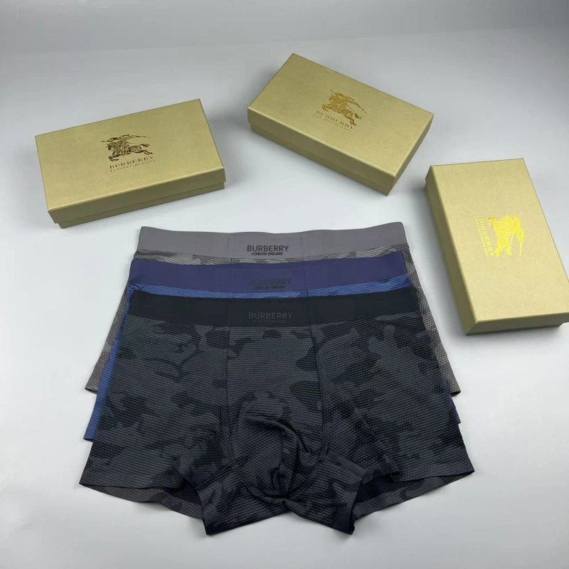 Accurate model Burberry Underwear