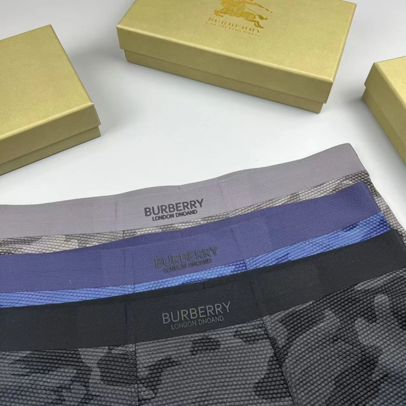 Accurate model Burberry Underwear