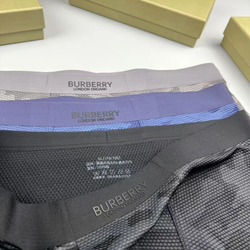 Accurate model Burberry Underwear