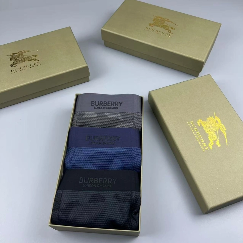 Accurate model Burberry Underwear