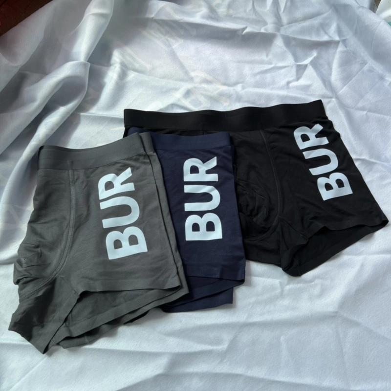 Real Burberry Underwear